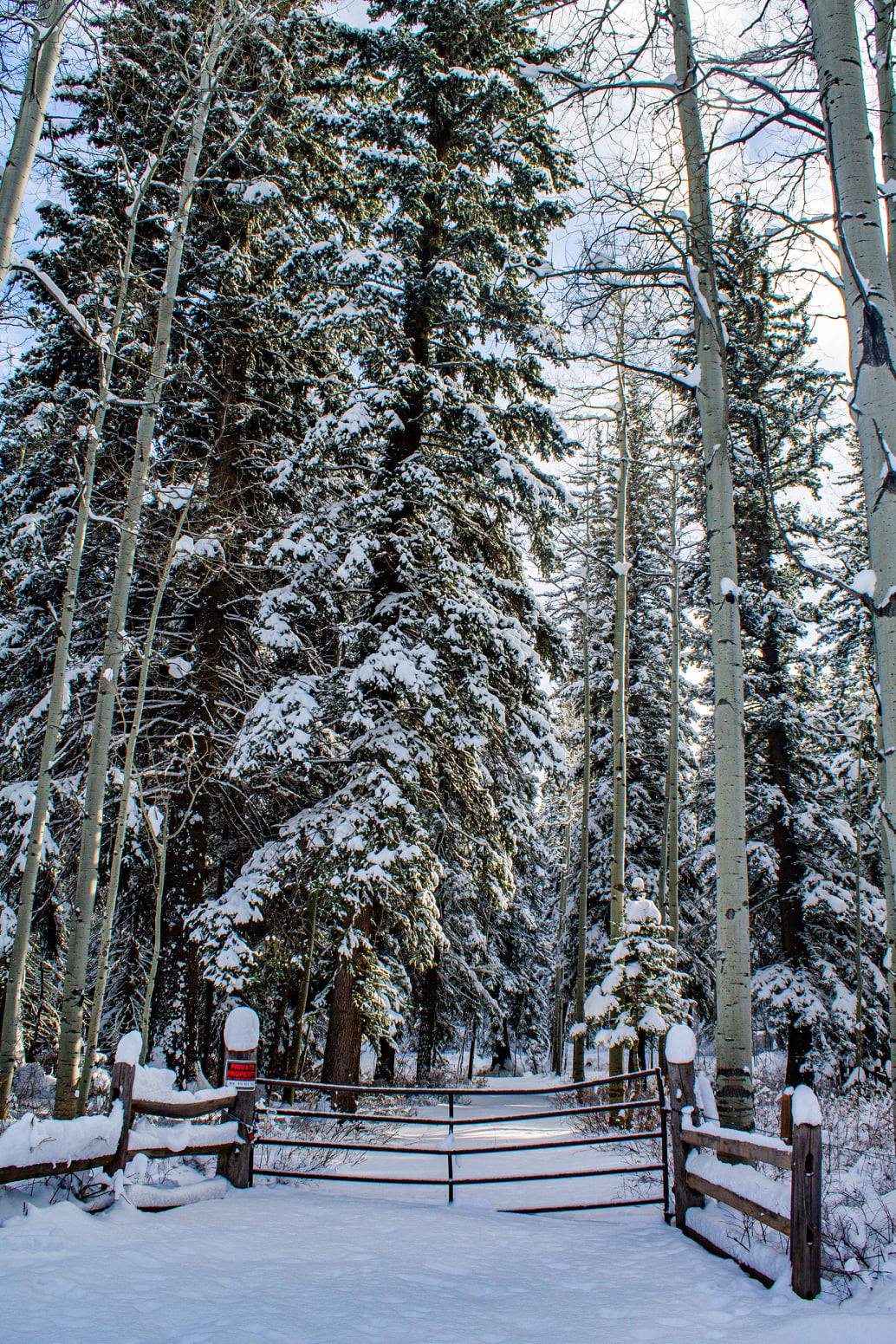 A Pictorial Feast - Gypsyfire Productions